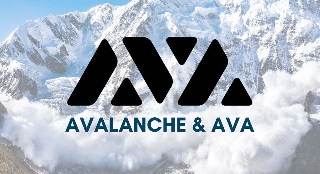 Avalanche AVAX Ecosystem Unleashed 2024 - AstroGrow